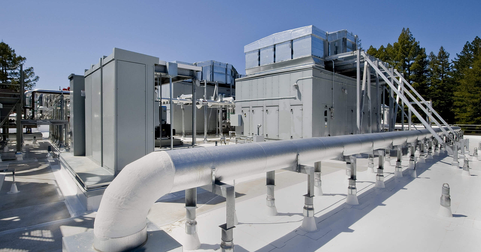 Reliable switches and sensors for building automation | steute Controltec