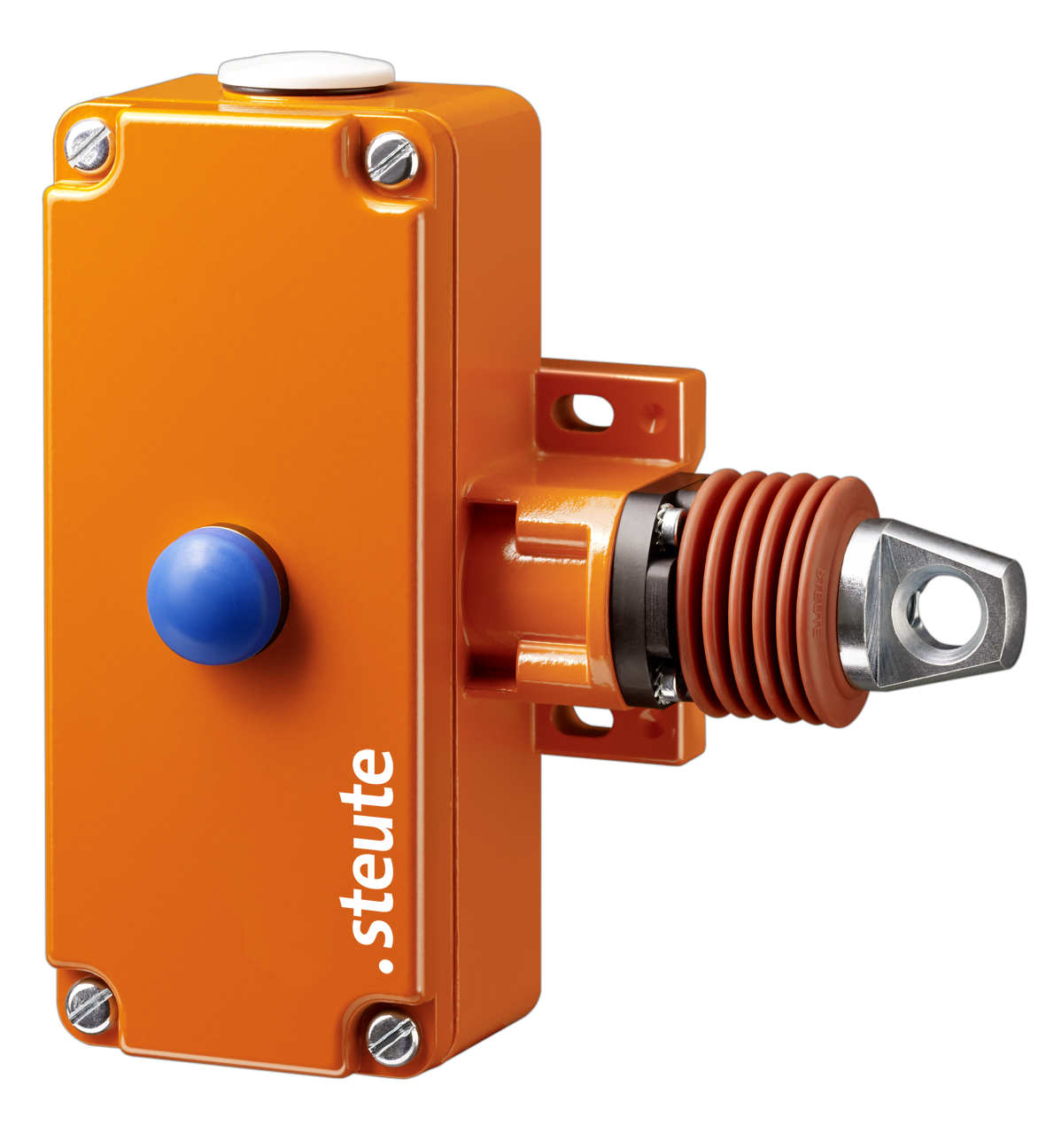 ZS 75 -40°C Extreme - steute Controltec